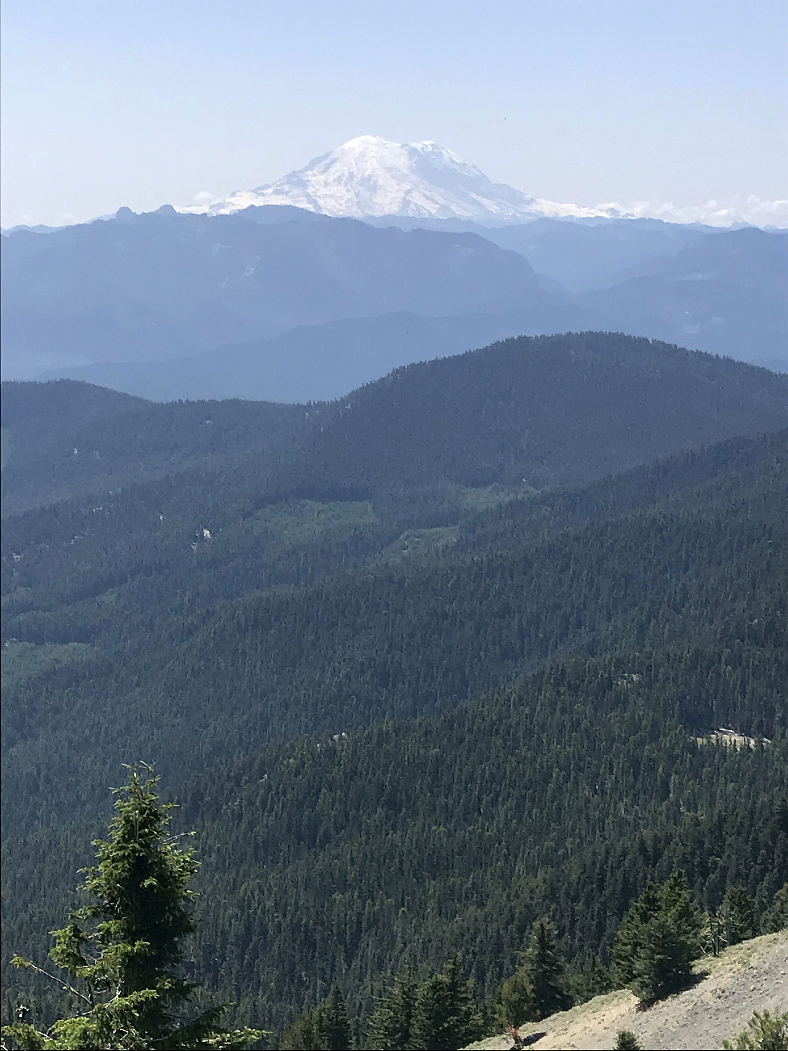 Manastash Ridge — Washington Trails Association